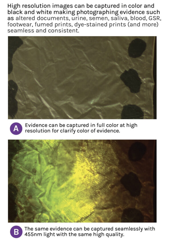 Crimescene Investigation | FSIS II │ Arrowhead Forensics │ Image ...